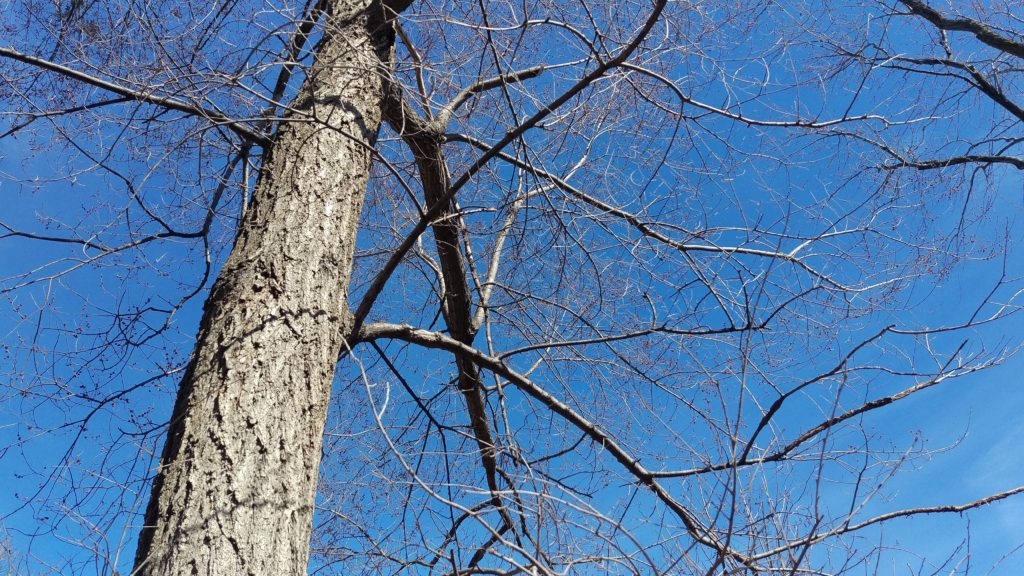 Konlabos. With a K. – Knoontime Knitting